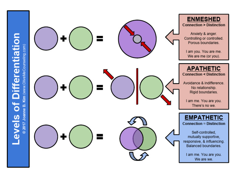 Levels of Differentiation | PDF