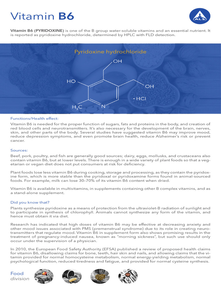 b6 Vitamin | PDF