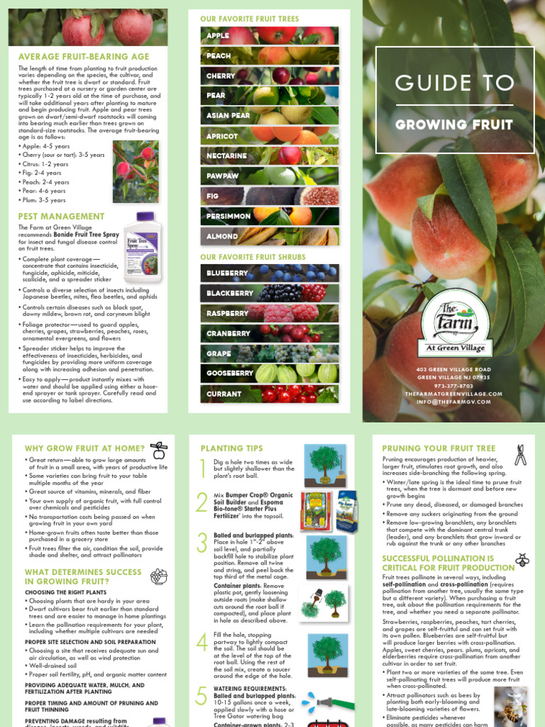 Guide-to-Growing-Fruit | PDF | Pollination | Fruit