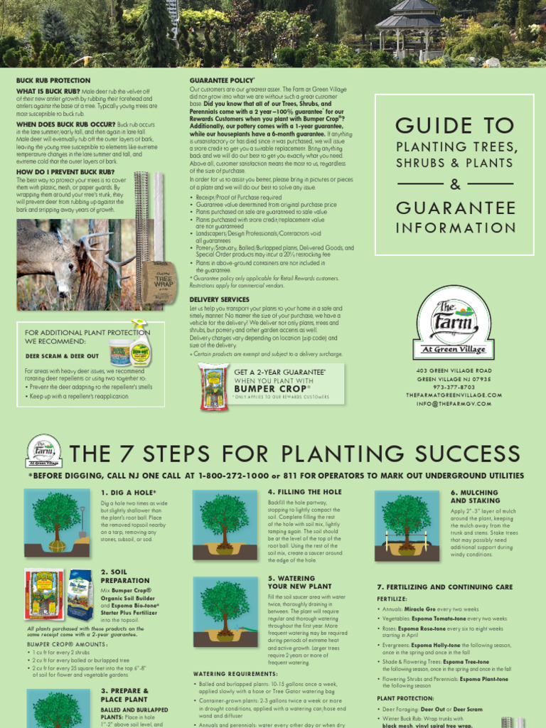 Trifold Planting Success Jan 2024 | PDF | Trees | Mulch