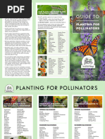 Types and Effects of Nectar in BSS | PDF | Bees | Beekeeping