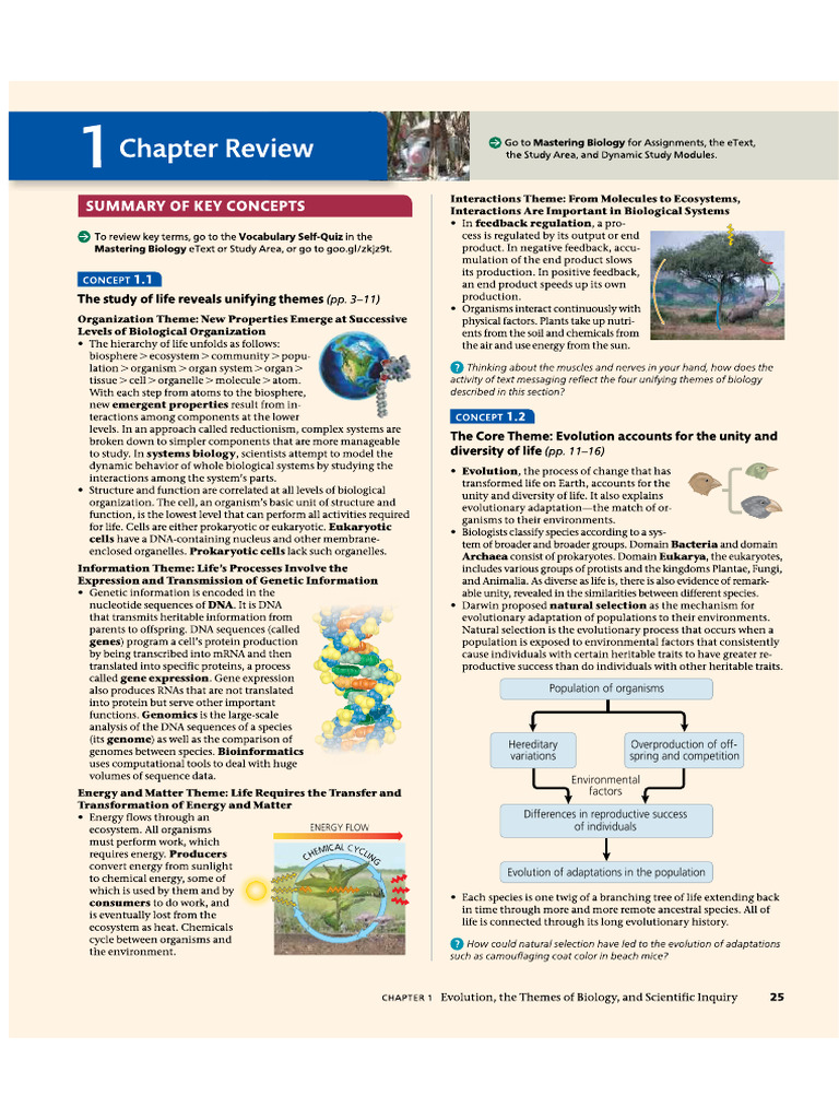 Biyology Midterm Chapter View | PDF