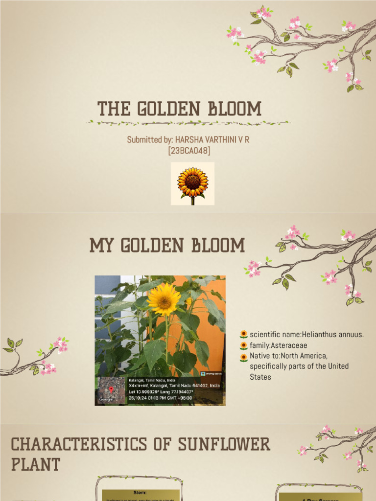 The Golden Bloom | PDF