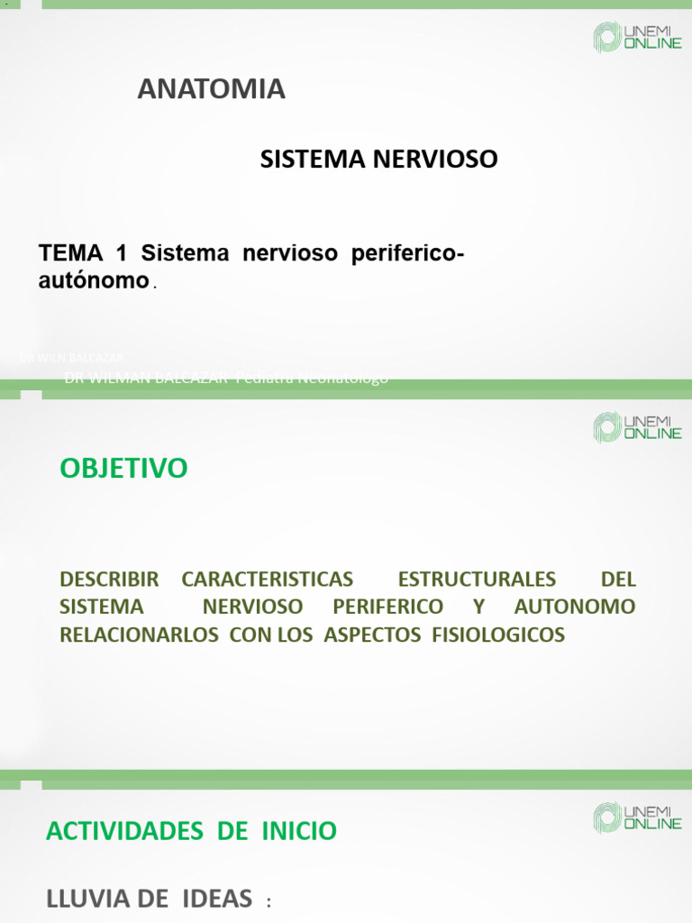 Anat Sist Nerv Periferico | PDF | Nervio | Sistema nervioso