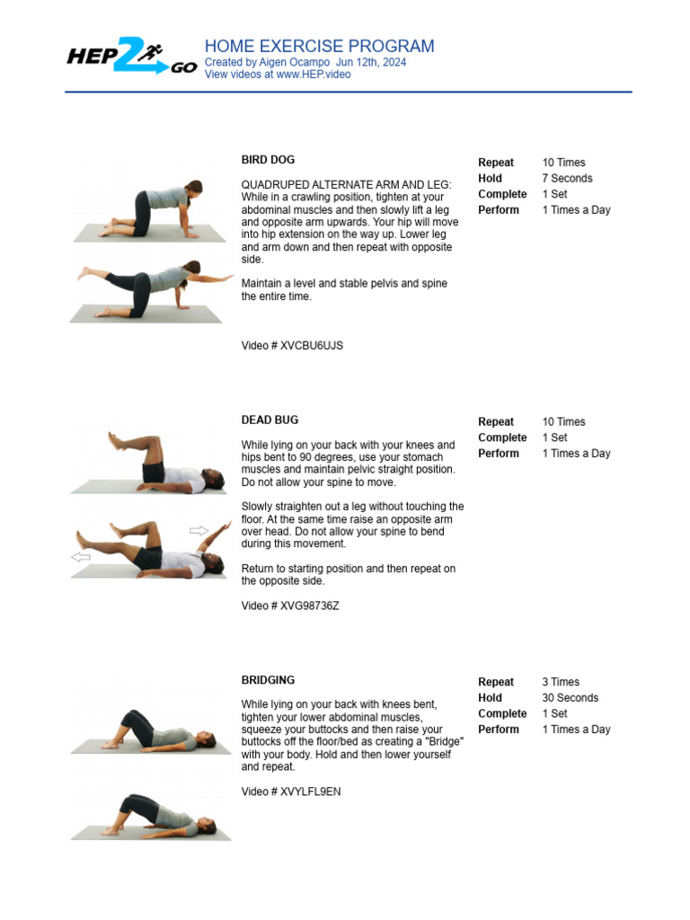 Dad Ben Home Exercises | PDF