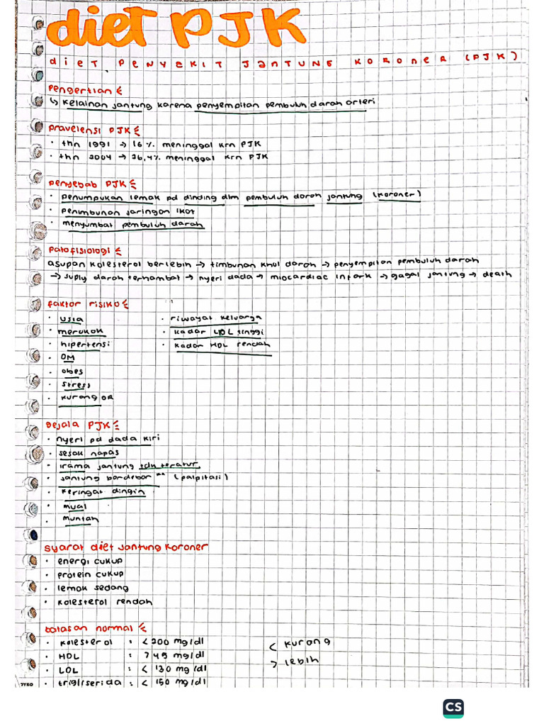 GIZI DAN DIET Diet Pasien PJ | PDF