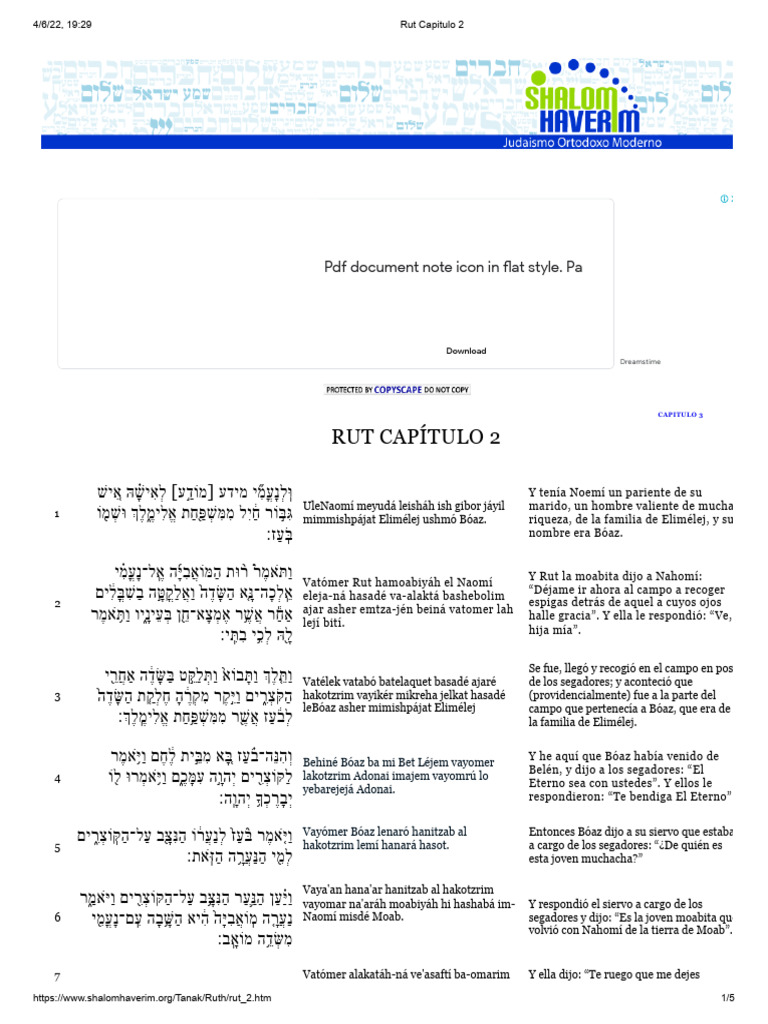 Rut Capitulo 2 Español | PDF | Lenguas de Israel | Colación