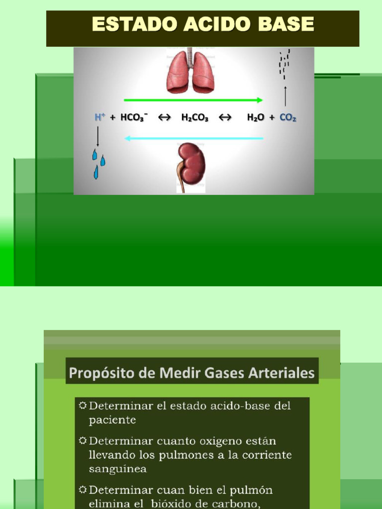 Estado Ácido-Base: Conceptos Clave | PDF