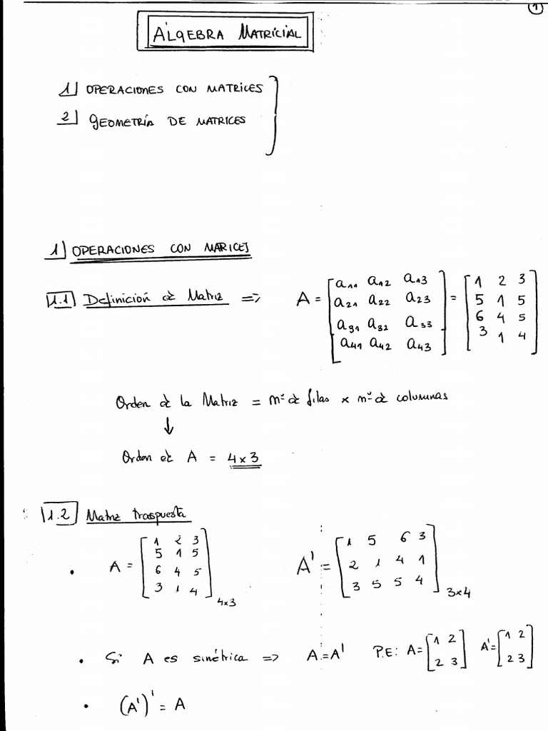 Algebra Matricial | PDF