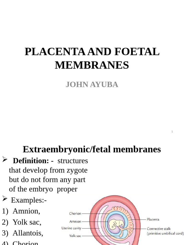 PLACENTA AND FOETAL MEMBRANES | PDF | Anatomy