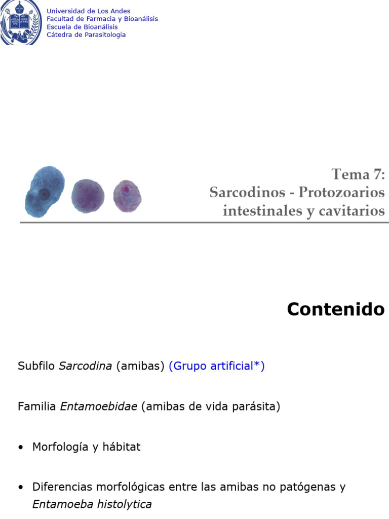 Morfología y Hábitat de Sarcodinos | PDF