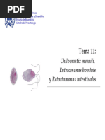 Retortamonas Intestinalis | PDF | Especialidades Medicas | Microbiología