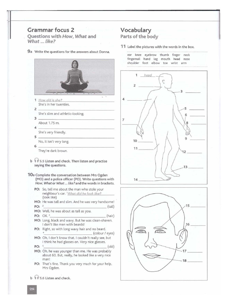 Extra Parts of The Body | PDF