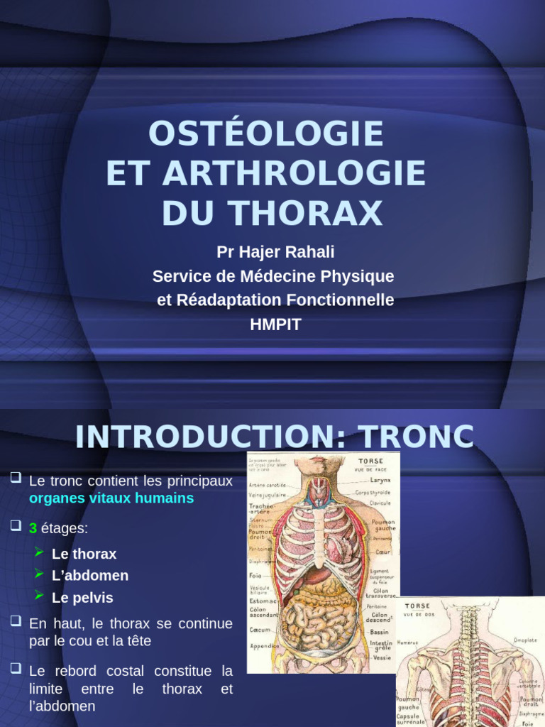Ostéologie et arthrologie du thorax | PDF | Thorax | Système squelettique