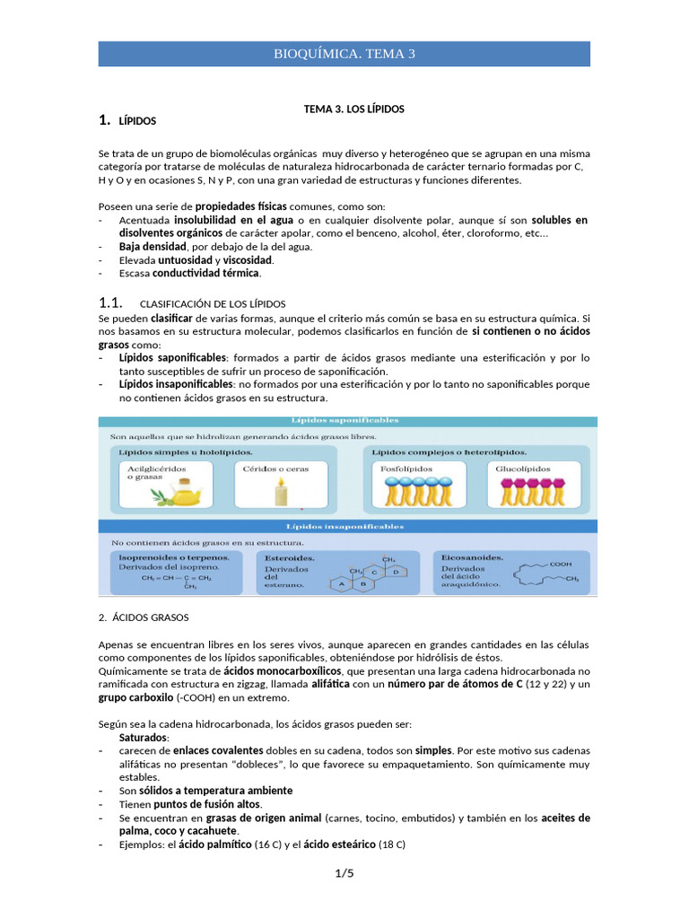 t3 Lipidos 1ªparte 2 | PDF | Polaridad química | Ácido graso