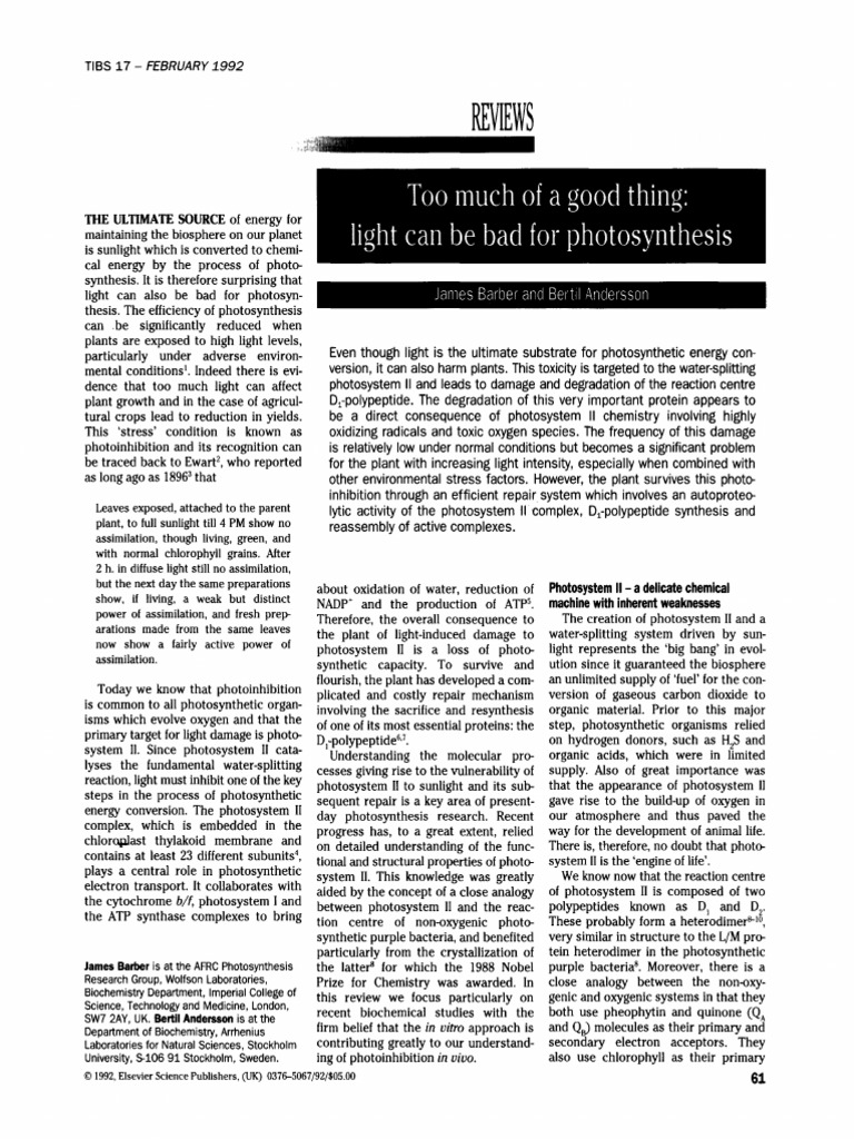 Too Much of A Good Thing Light Can Be Bad For Photosyntesis 1992 | PDF ...