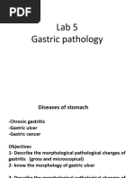 Histopathology Report (Example) | PDF | Histopathology | Pathology