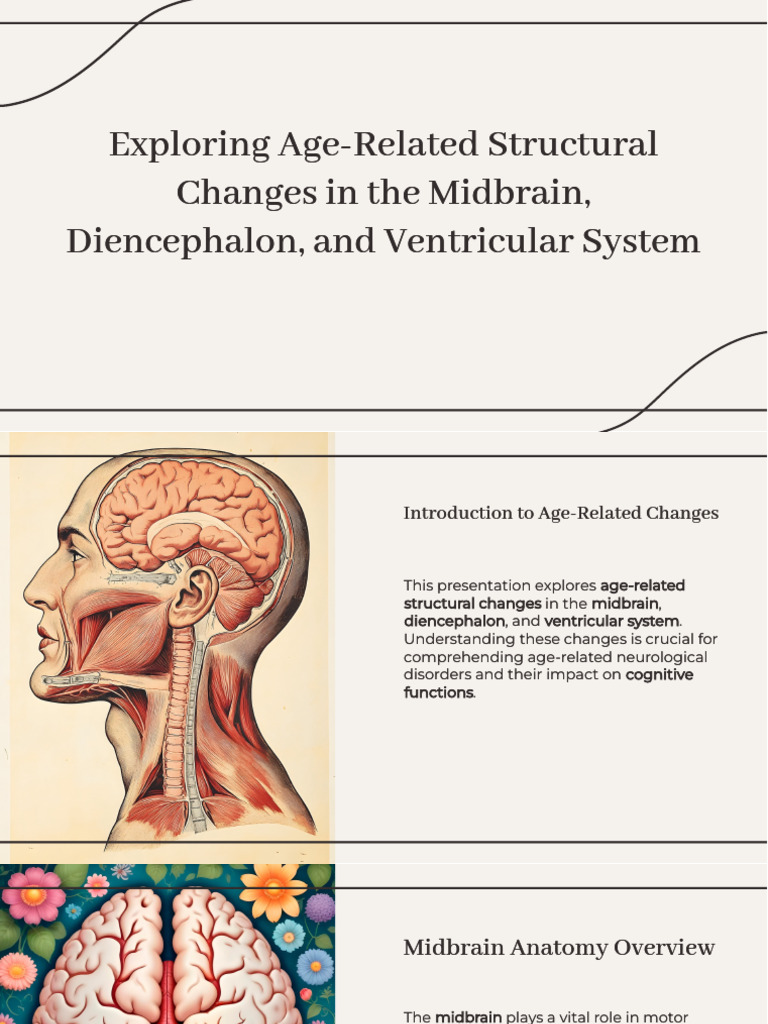 Slidesgo Exploring Age Related Structural Changes in The Midbrain Diencephalon and Ventricular ...