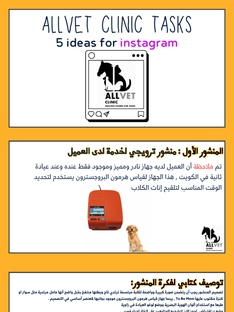 Tasks Allvet | PDF