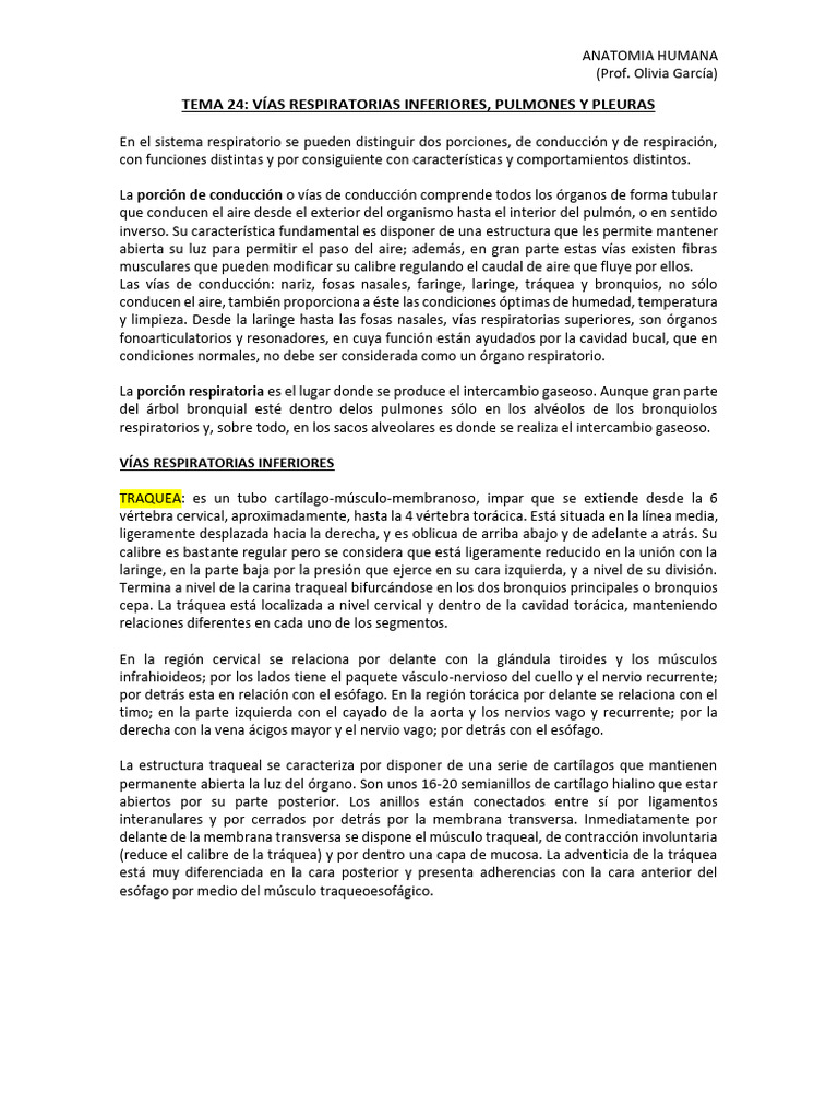 TEMA 24 | PDF | Pulmón | Sistema circulatorio