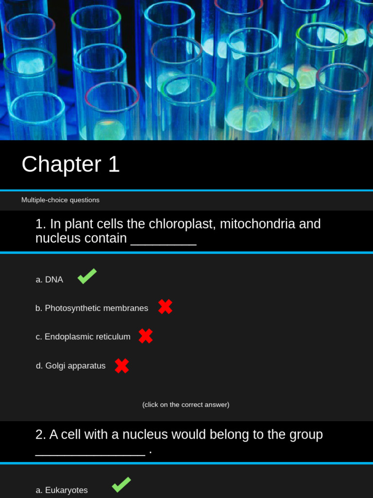 CH1 - MCQ Slides | PDF