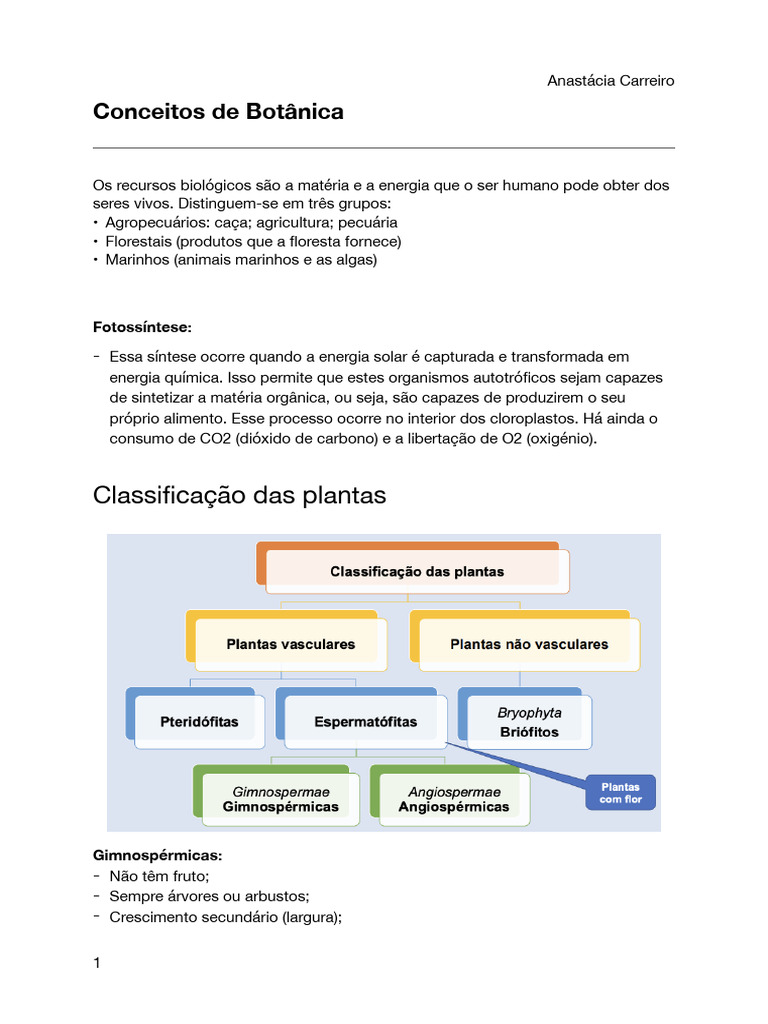 Histolopgia e Anatomia Vegetal 1º Freq. | PDF | Raiz | Folha