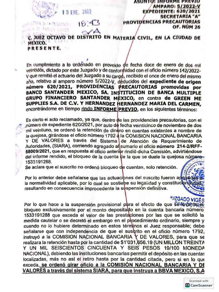 Informe Justificado | PDF