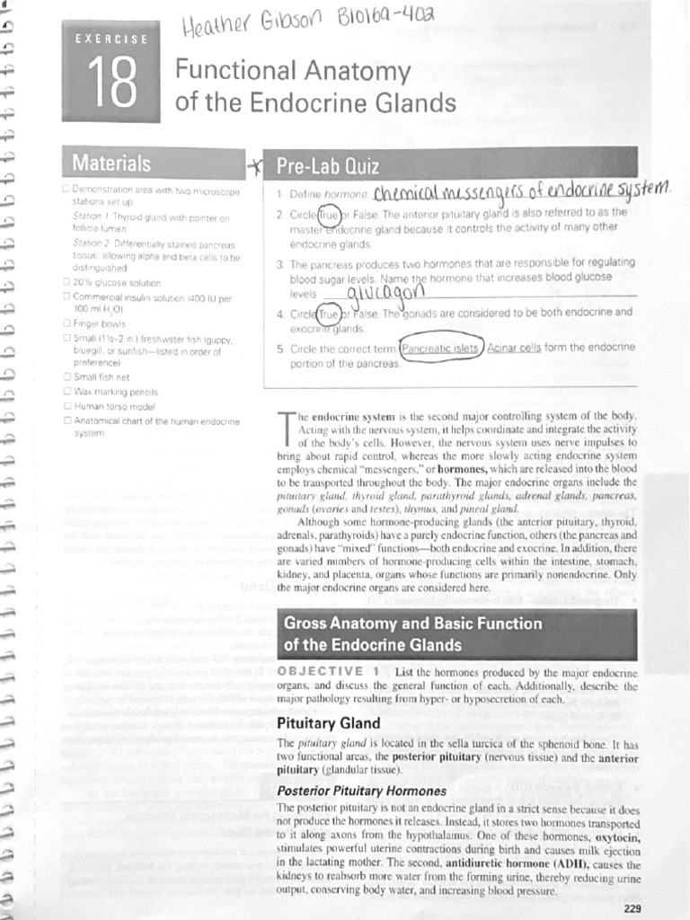 Exercise 18 Lab BIO169-402 | PDF