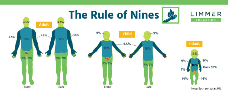 The-Rule-of-Nines | PDF