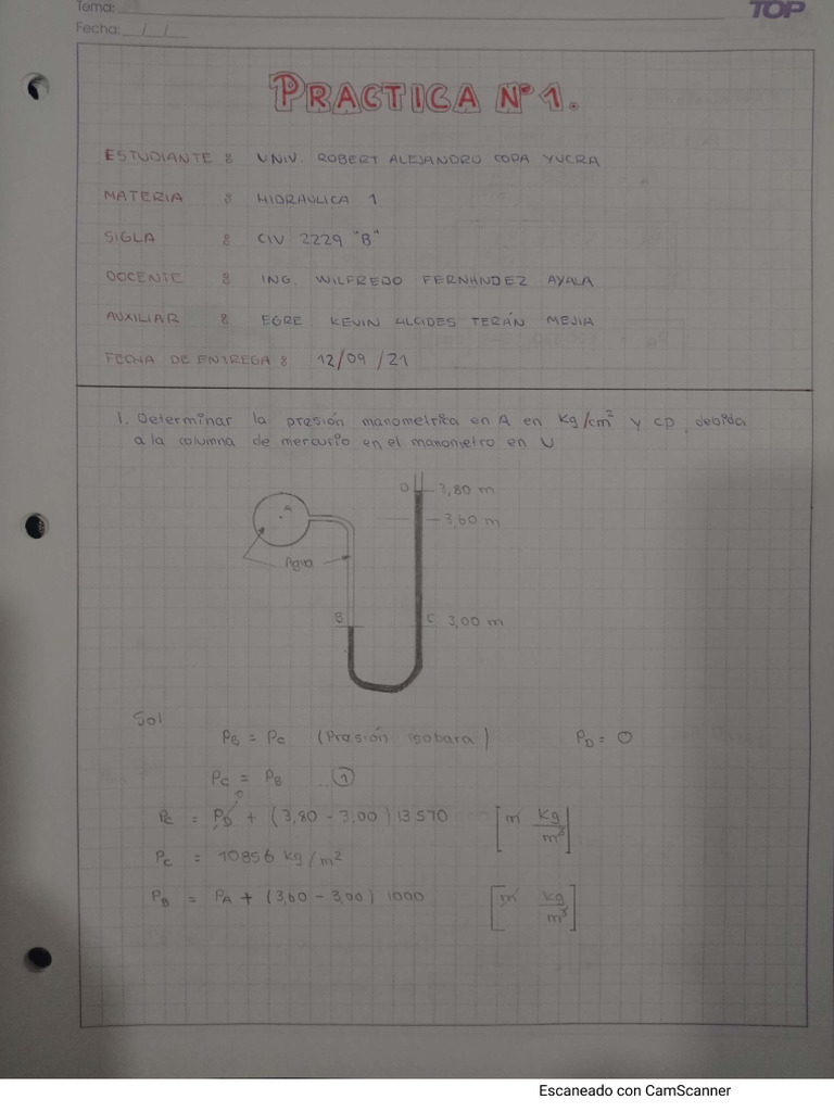 Practica n1 Civ 2229 B | PDF
