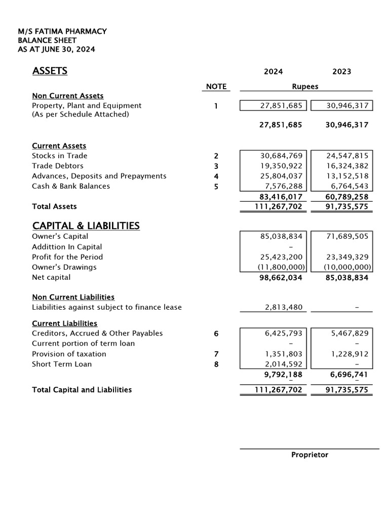 Fatima Pharmacy Financial Statements 2024 | PDF | Working Capital ...