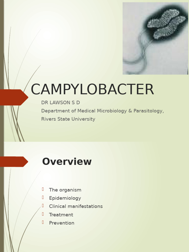 Campylobacter Species | PDF | Medicine | Epidemiology
