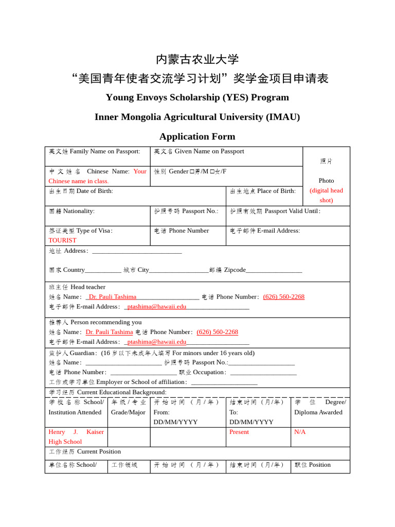 Young Envoys Scholarship Application Form | PDF | Identity Document ...