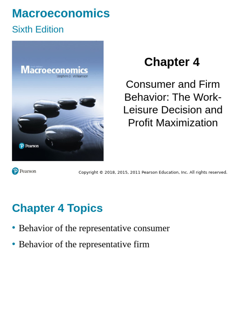 ch_04 | PDF | Production Function | Labour Economics