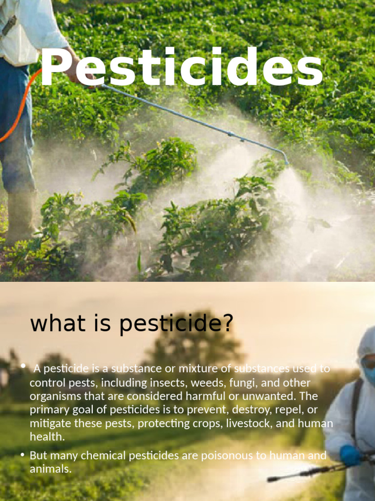 Pesticide-report | PDF | Fungicide | Pesticide