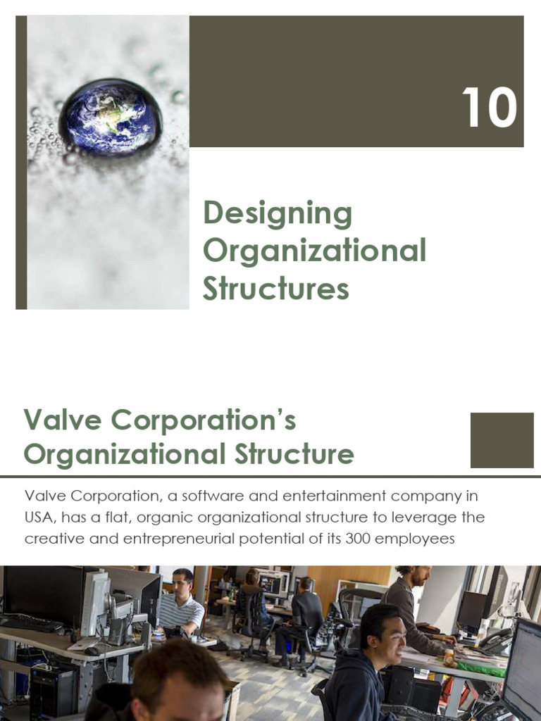 IPPTChap010 | PDF | Organizational Structure | Decentralization