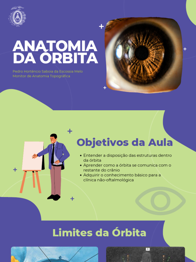 Anatomia Da Órbita | PDF