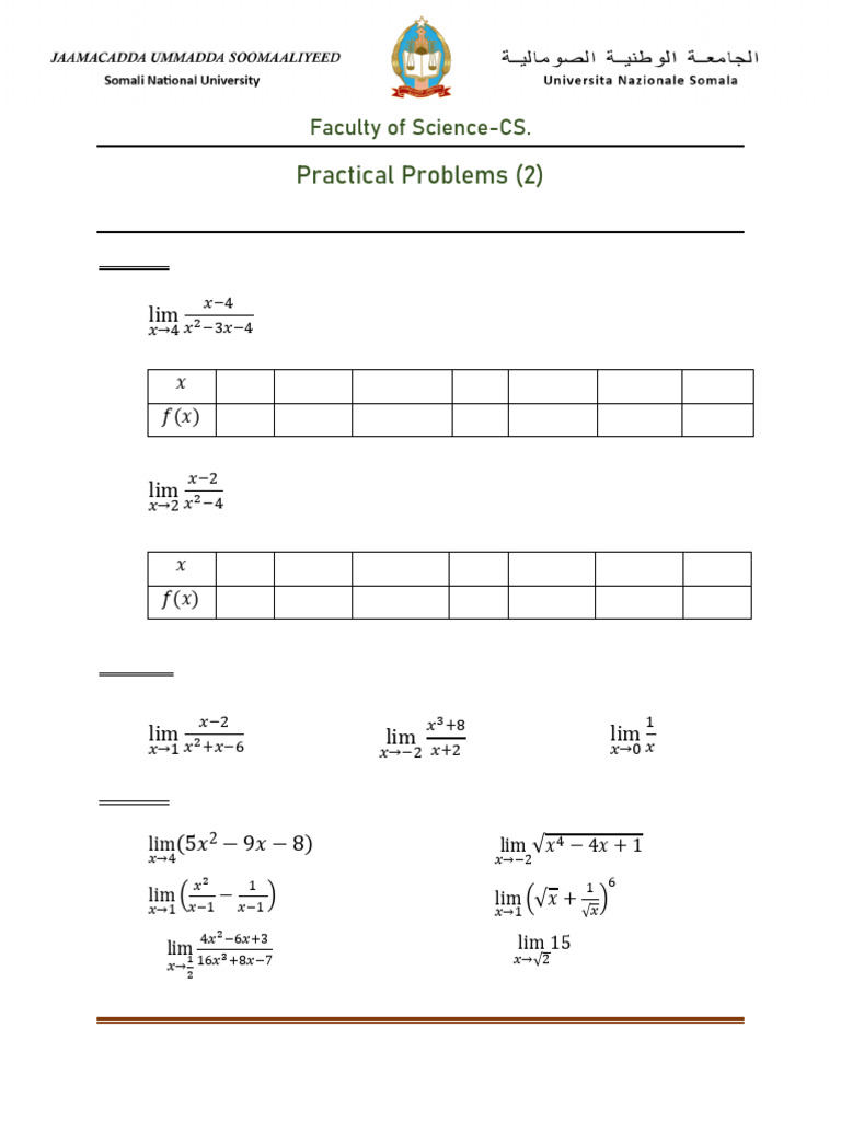 Practical Problems -2 CS. | PDF | Mathematics | Mathematical Analysis