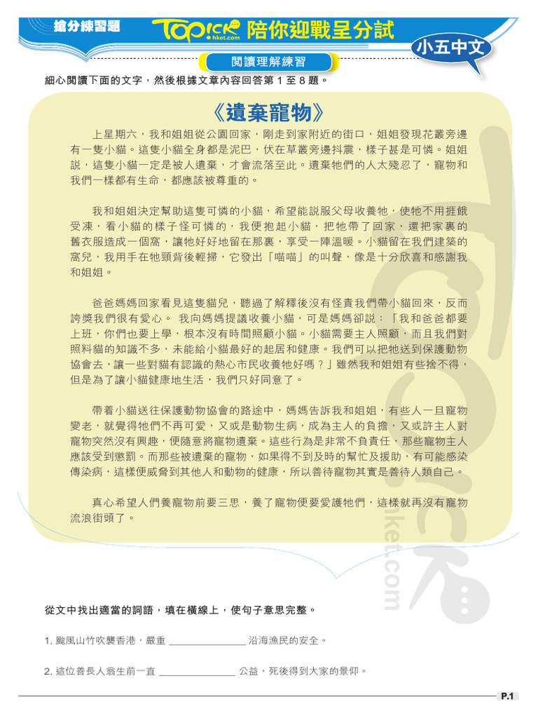 Chinese 3 Exercise | PDF