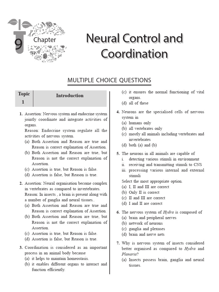 Neural System Coordination MCQs | PDF | Chemical Synapse | Synapse