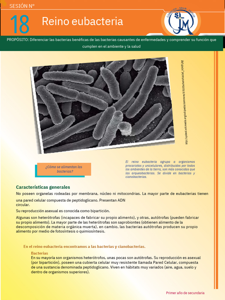 Biologia 1-Sesion n8 PDF | PDF | Las bacterias | Cianobacterias