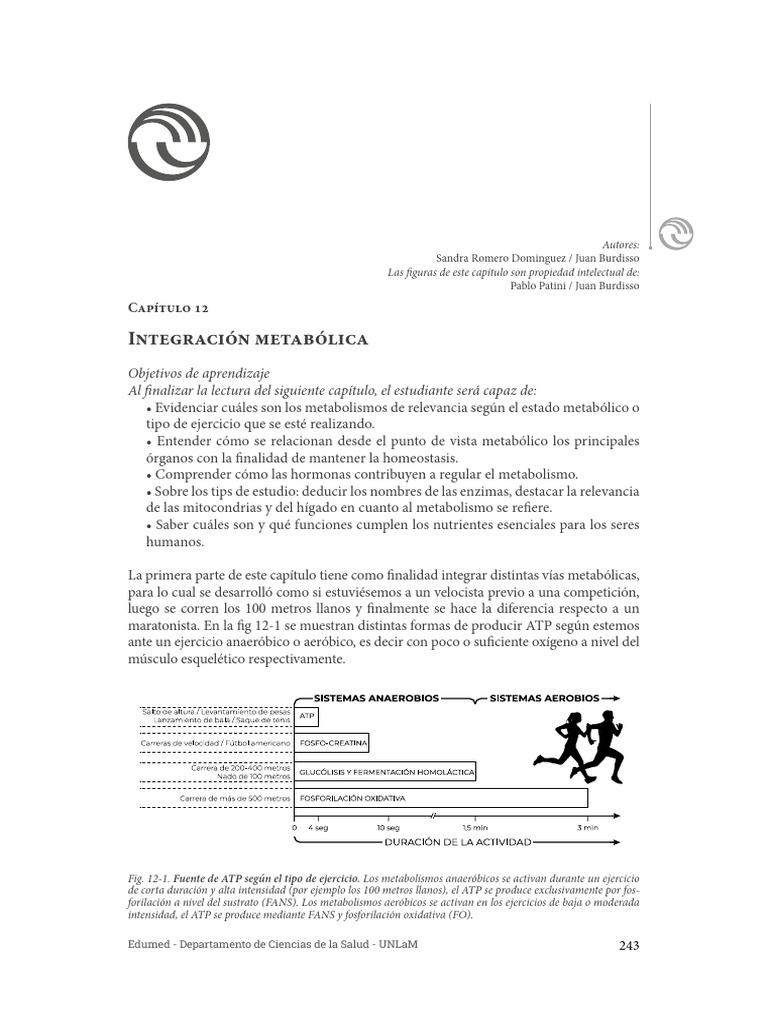 Capi Tulo 12 Integracio N Metabo Lica | PDF | Transaminasa | Glucólisis