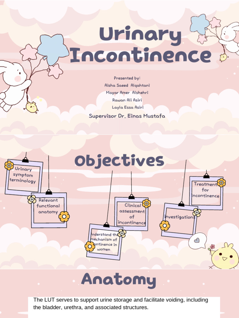 Classification.pdf (2) | PDF | Urinary Incontinence | Urination