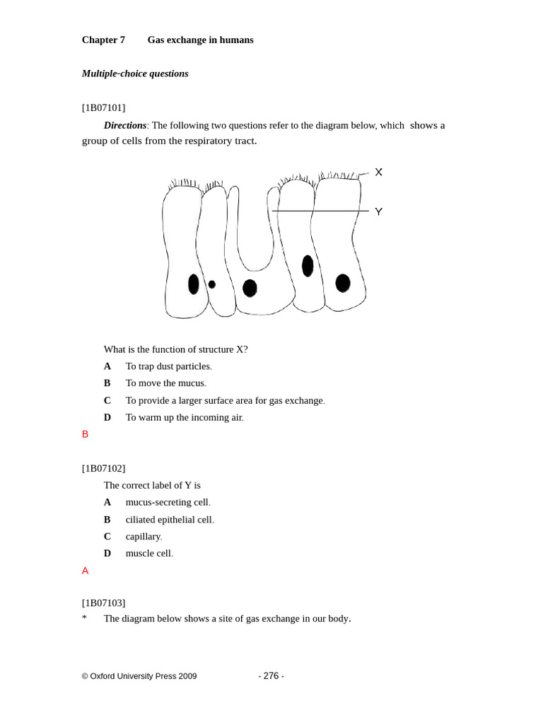 Human Gas Exchange: MCQs and Answers | PDF | Breathing | Lung