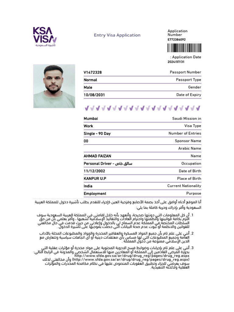 Visa Platform Ahmad Faizan | PDF