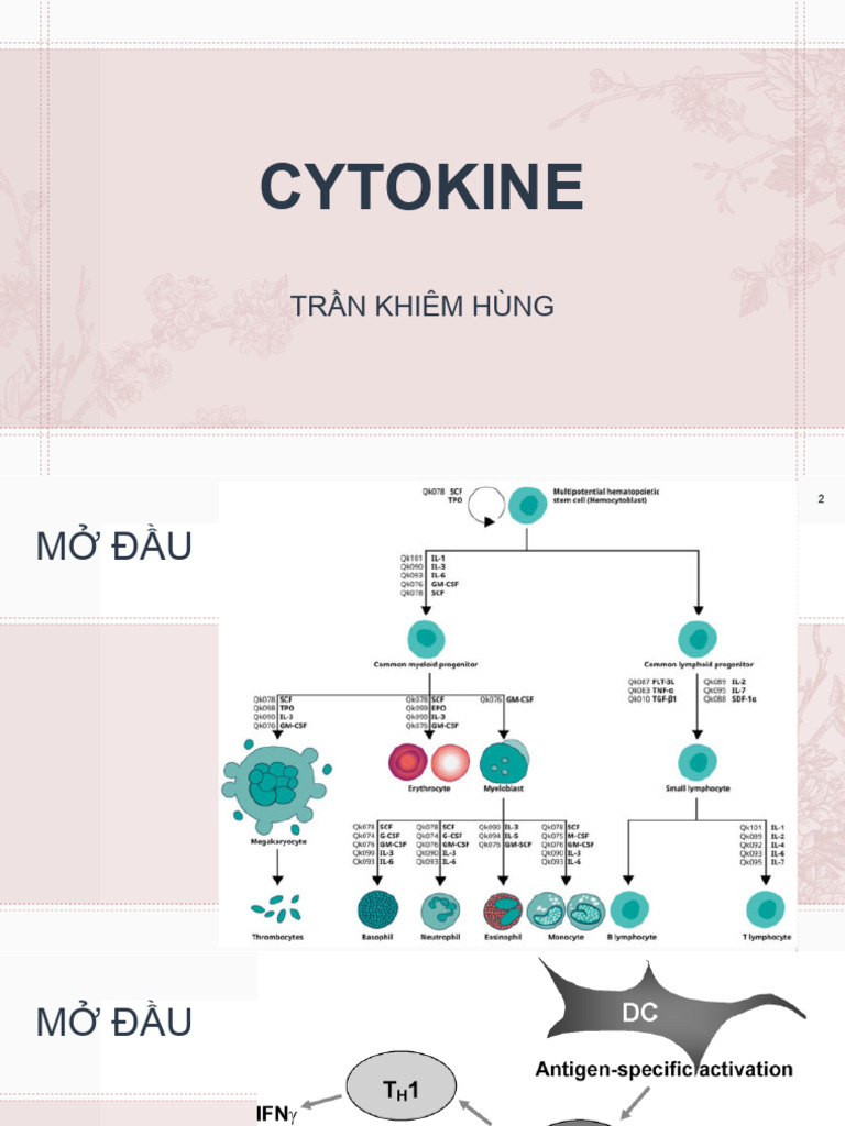 Cytokine 1 | PDF