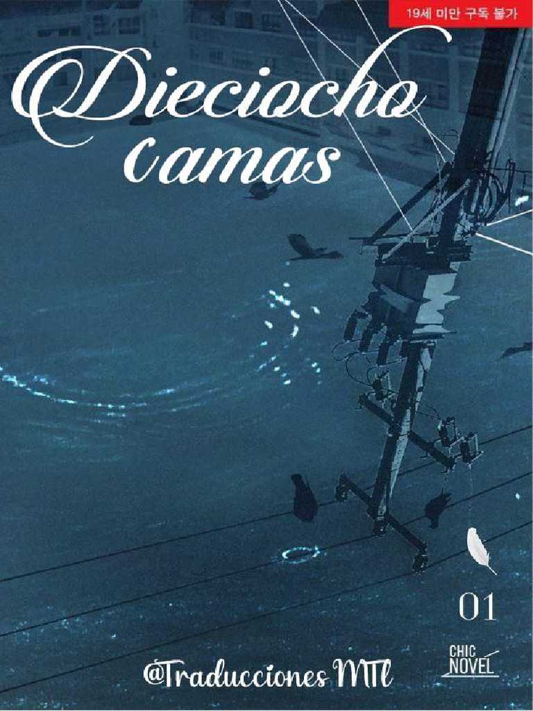 Dieciocho Camas | PDF | Amor