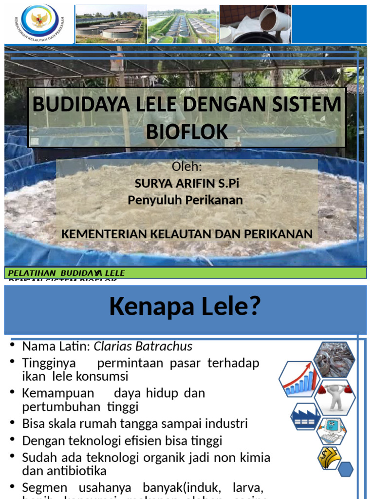 Budidaya Lele Sistem Bioflok | PDF