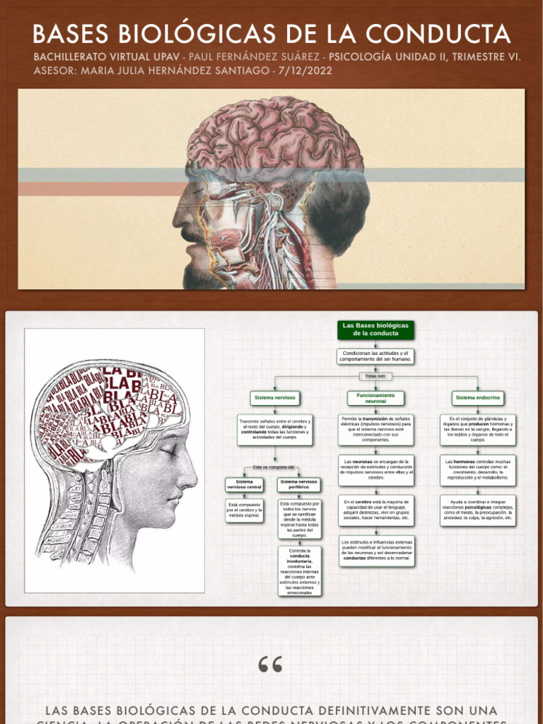Bases BIOLÓGICAS DE LA CONDUCTA | PDF