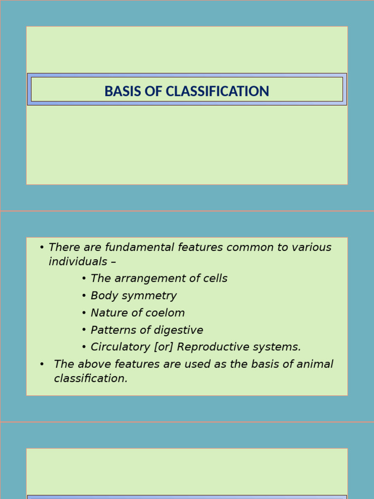 Animal Classification and Organization Basics | PDF | Developmental ...
